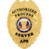 Professional Badges - Fugitive - Recovery - Bodyguard - Agent Gear USA