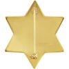 Security Officer Star Badge - Agent Gear USA