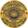 Second Amendment Right To Bear Arms Pin - Agent Gear USA